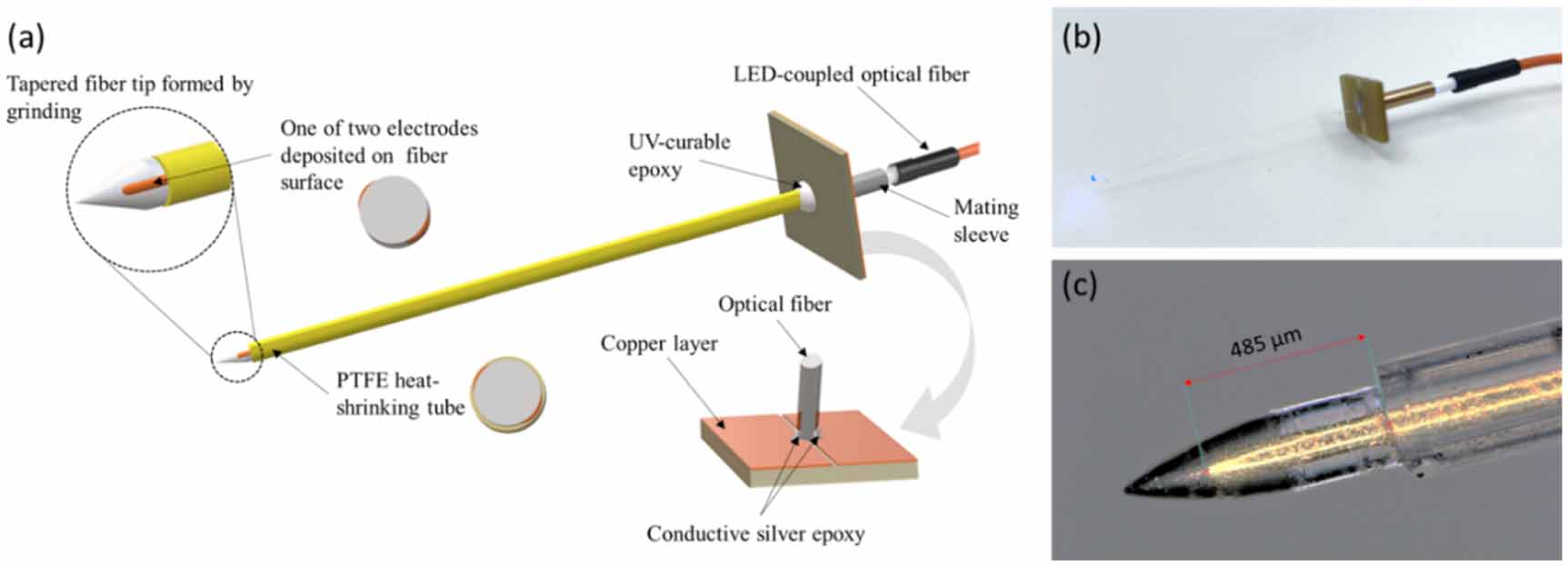 Fiber-based optrode with microstructured fiber tips for controlled ...