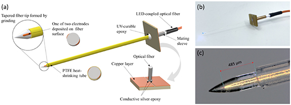 Fiber-based optrode with microstructured fiber tips for controlled ...