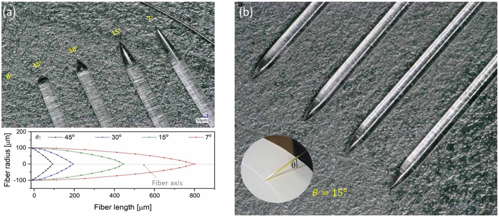Fiber-based optrode with microstructured fiber tips for controlled ...