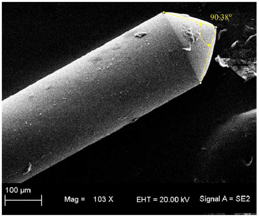 Fiber-based optrode with microstructured fiber tips for controlled ...
