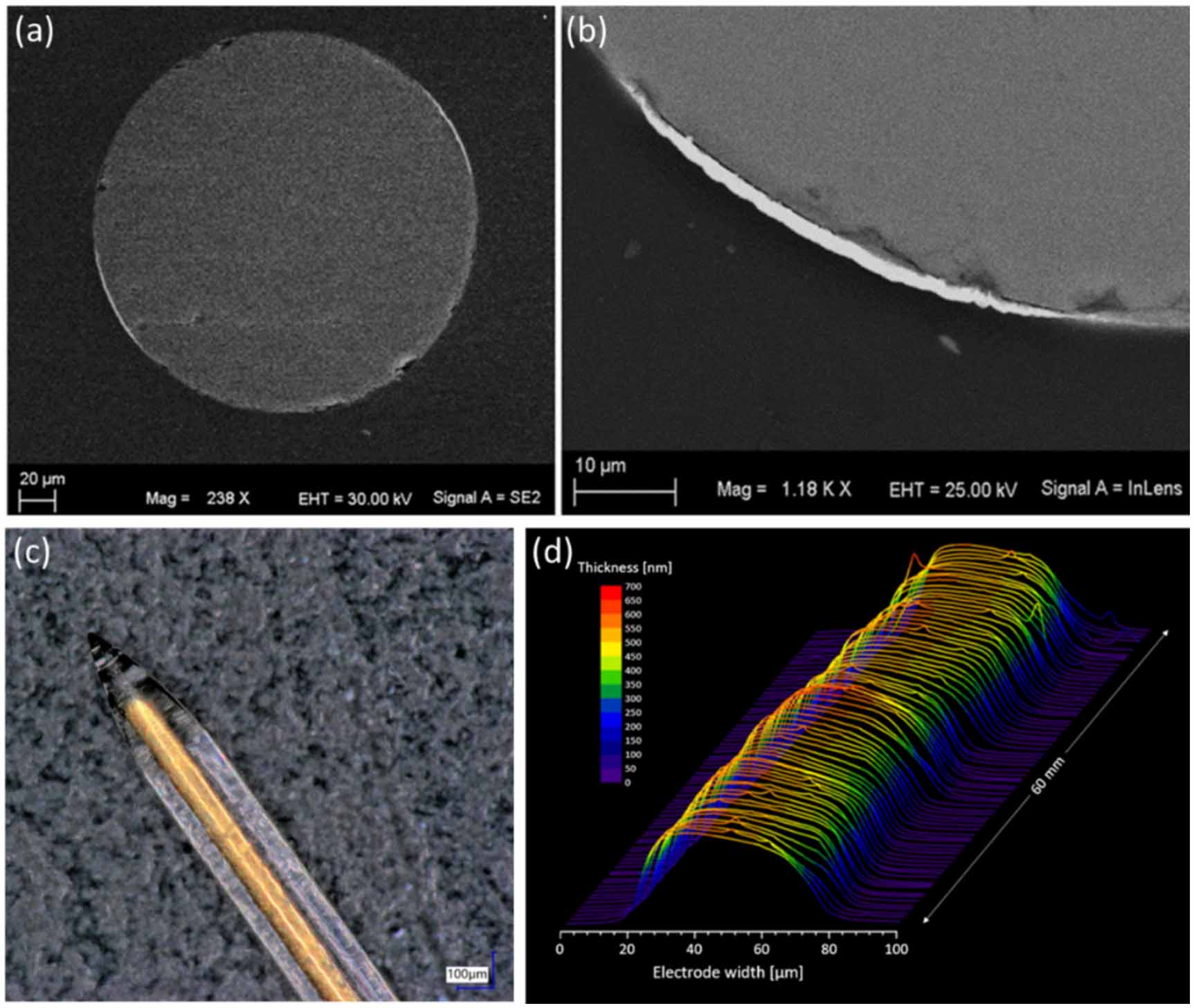 Fiber-based optrode with microstructured fiber tips for controlled light delivery in ...