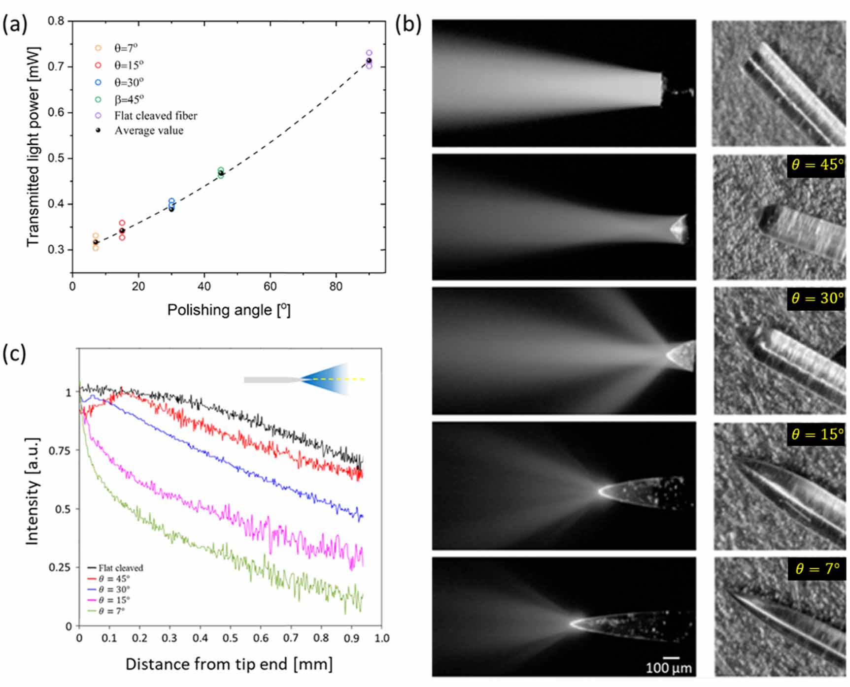 Fiber-based optrode with microstructured fiber tips for controlled light delivery in ...