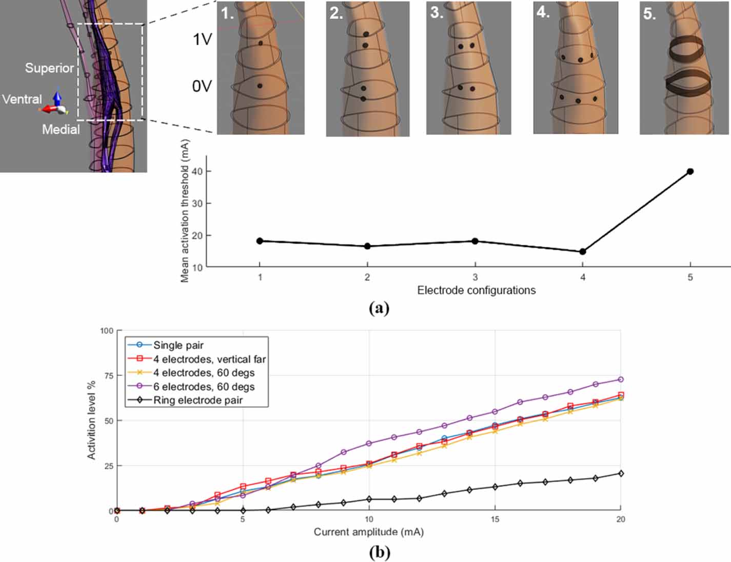 Computational modeling of endovascular peripheral nerve stimulation ...
