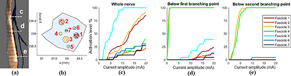 Computational modeling of endovascular peripheral nerve stimulation ...