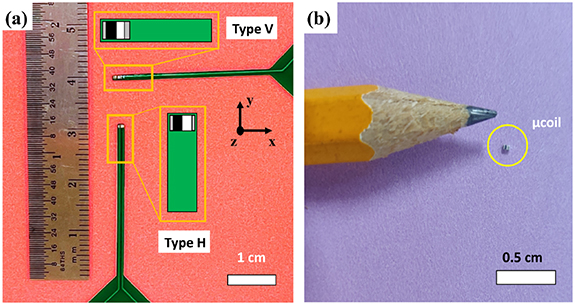 Micromagnetic stimulation (µMS) dose-response of the rat sciatic nerve ...