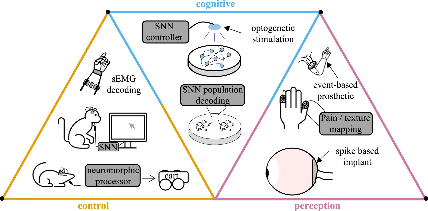 Neuromorphic applications in medicine - IOPscience