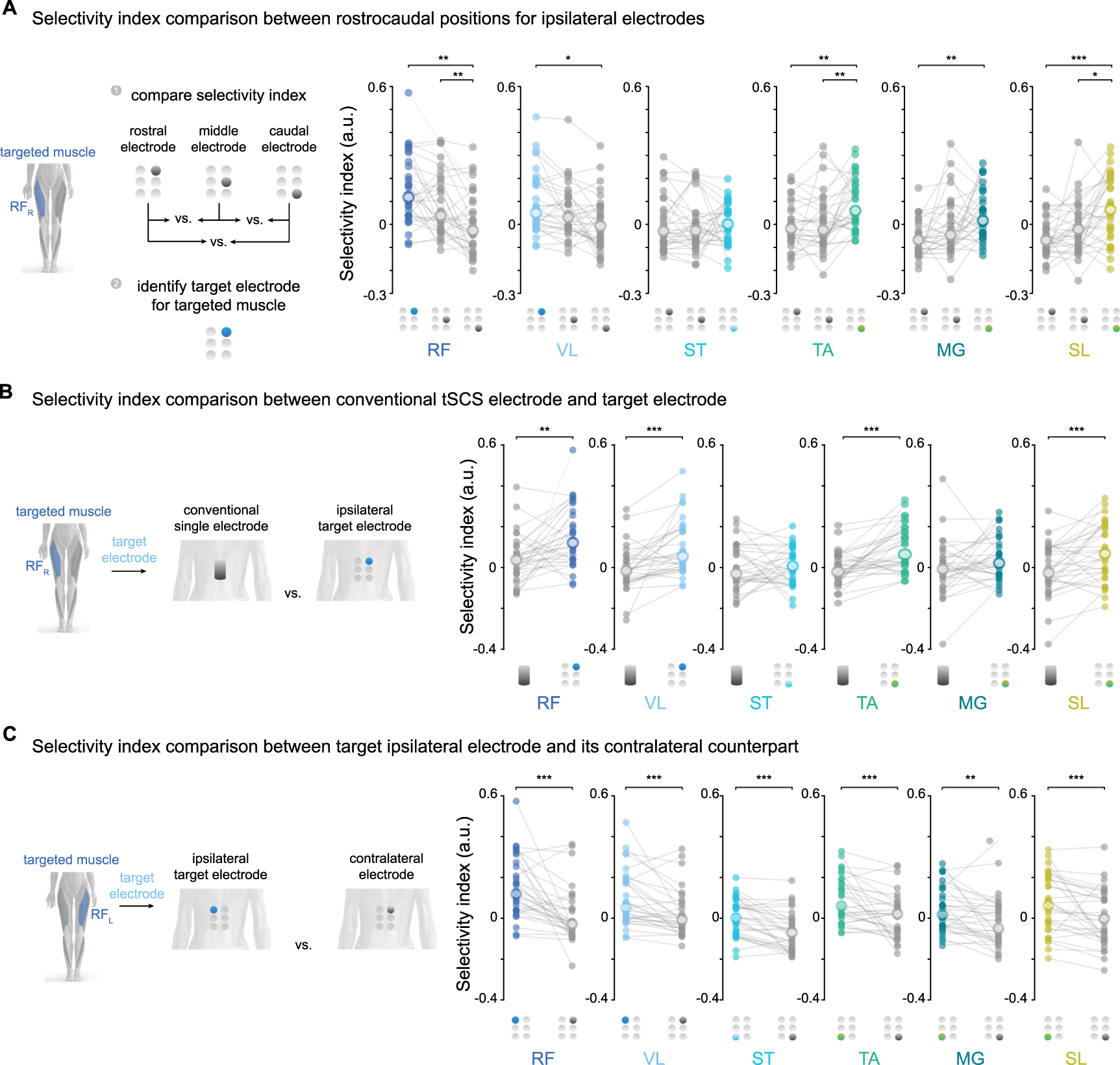 Enhanced selectivity of transcutaneous spinal cord stimulation by ...