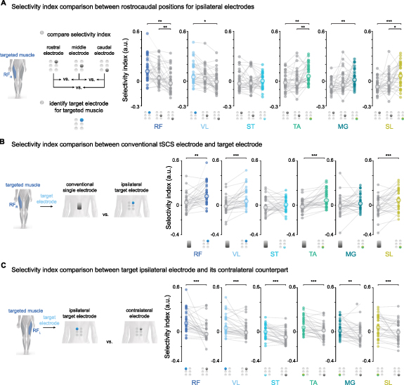 Enhanced selectivity of transcutaneous spinal cord stimulation by multielectrode configuration ...