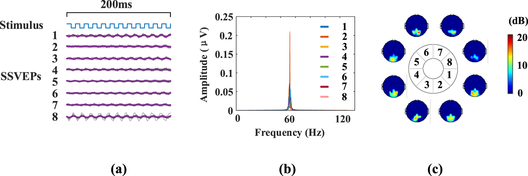 A sub-region combination scheme for spatial coding in a high-frequency SSVEP-based BCI - IOPscience
