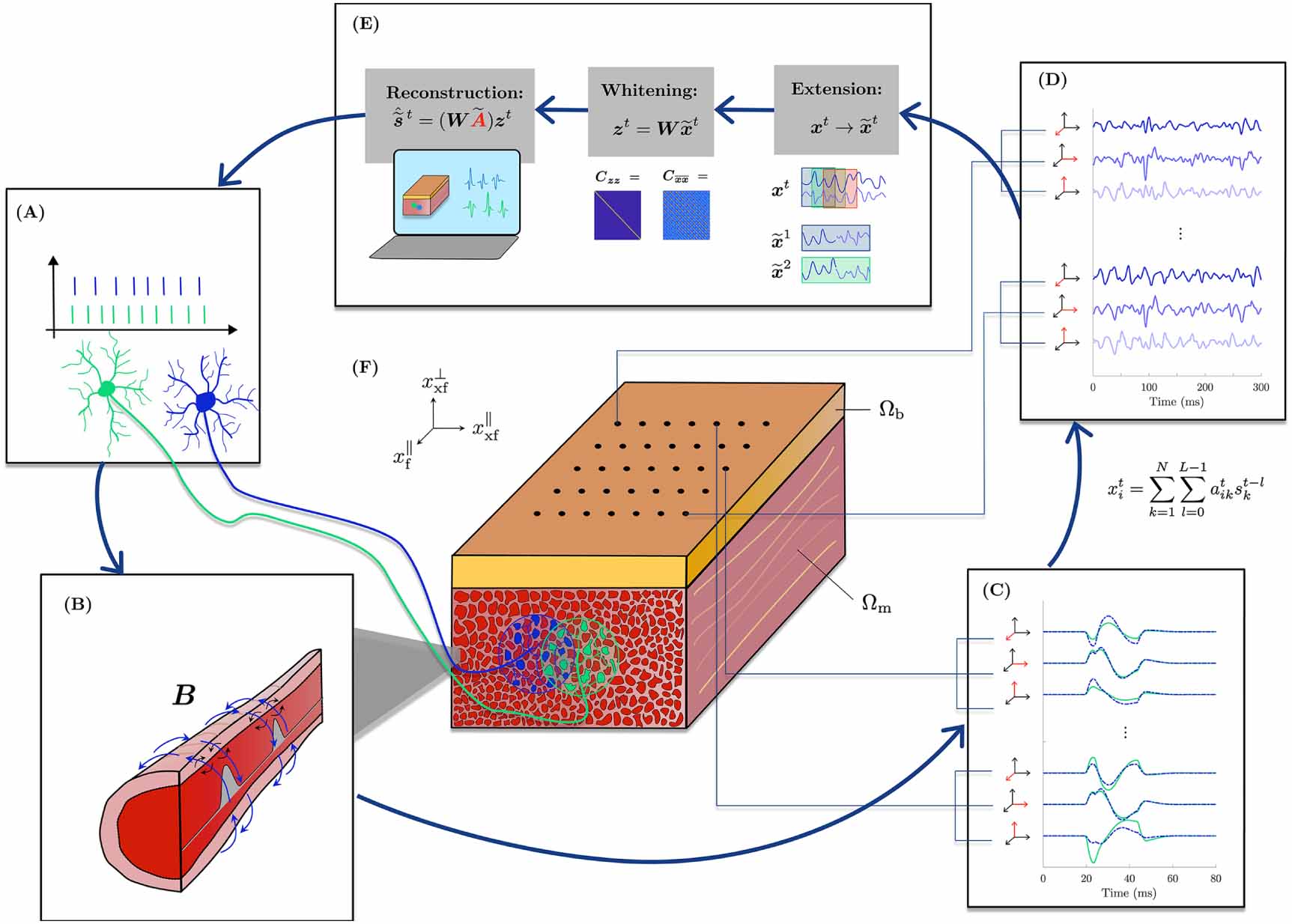 High-density magnetomyography is superior to high-density surface ...
