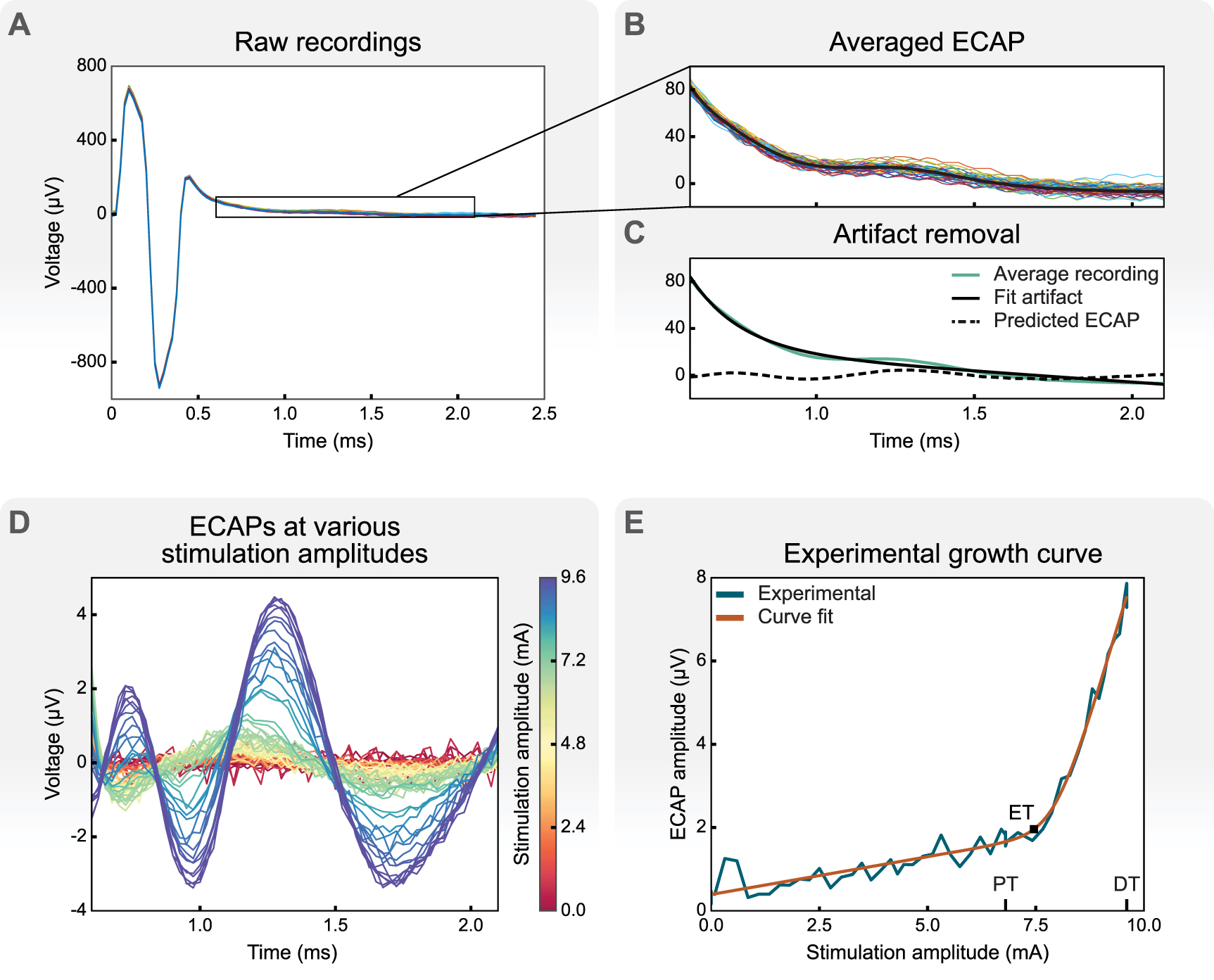 Evoked compound action potentials during spinal cord stimulation: effects of posture and pulse ...