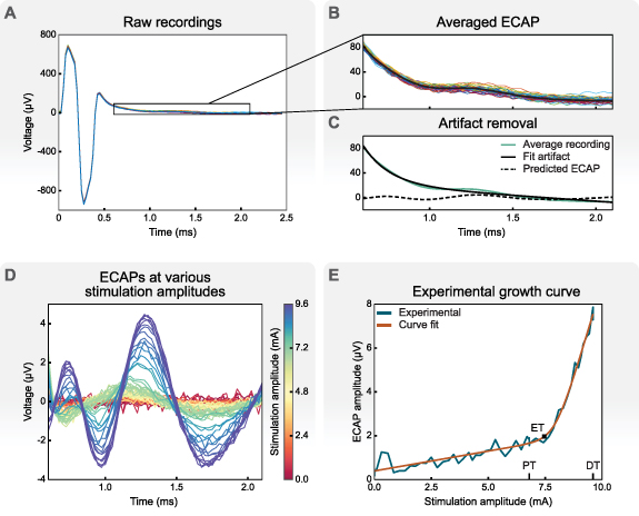 Evoked compound action potentials during spinal cord stimulation ...