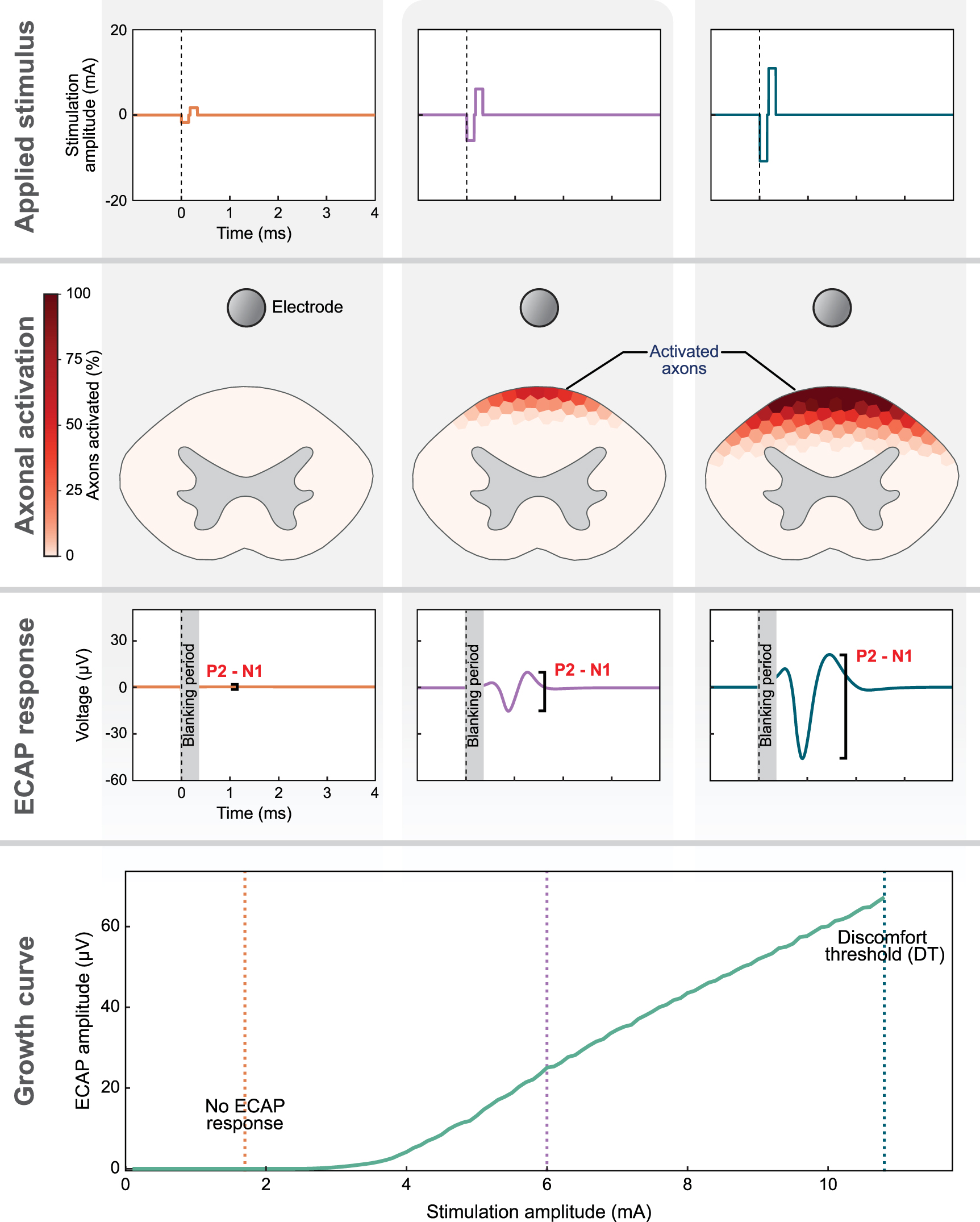Evoked compound action potentials during spinal cord stimulation ...