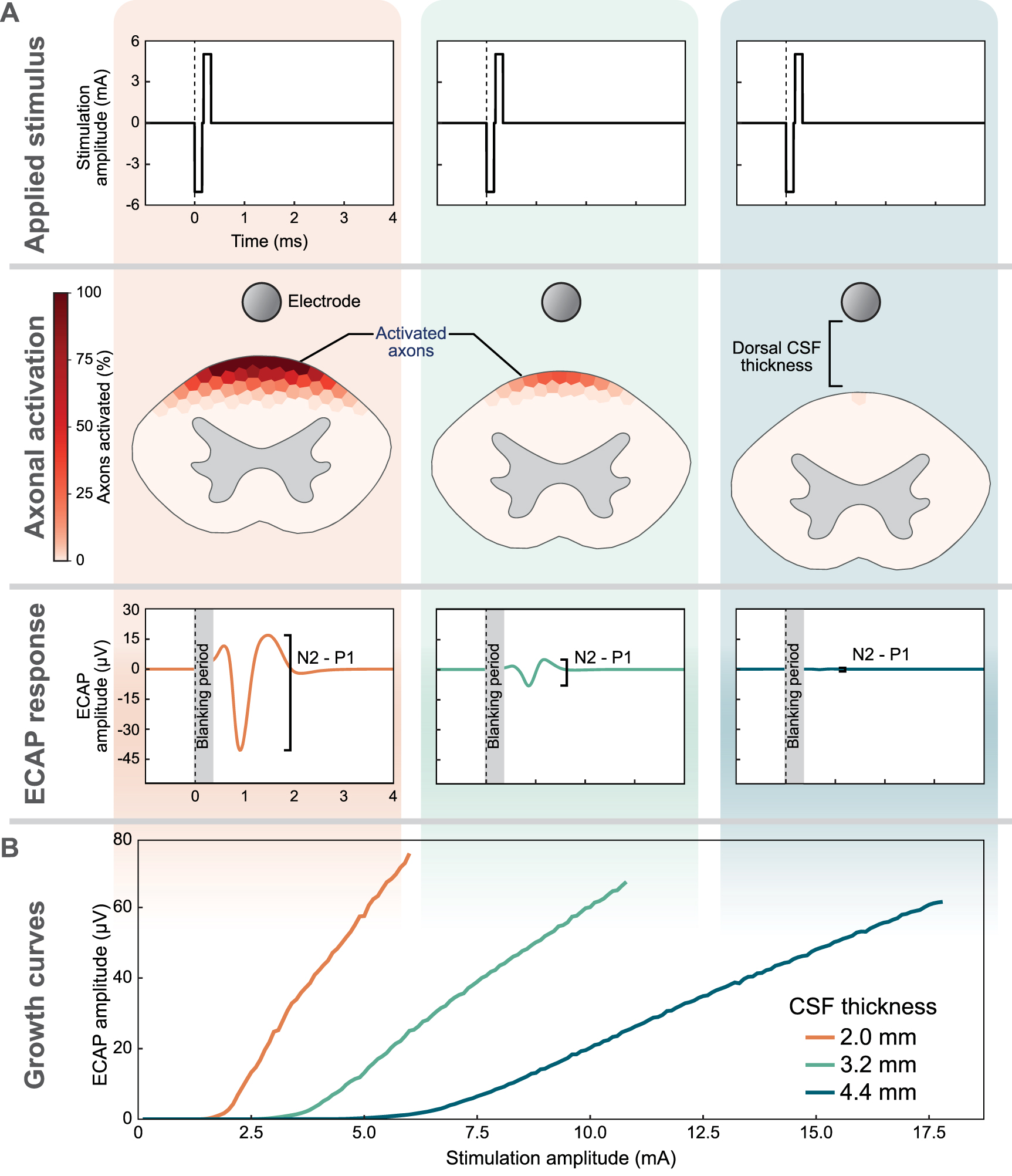 Evoked compound action potentials during spinal cord stimulation ...