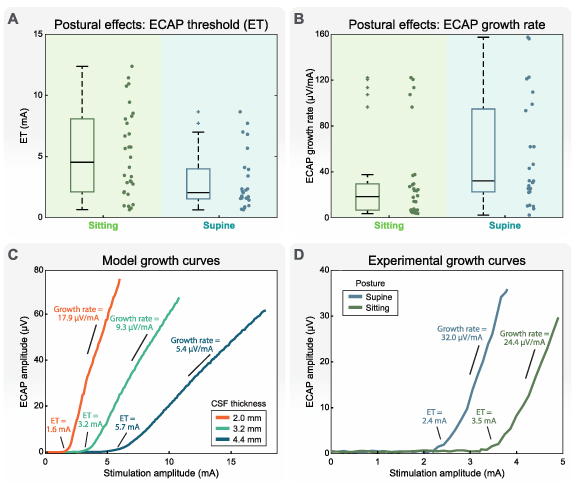 Evoked compound action potentials during spinal cord stimulation ...