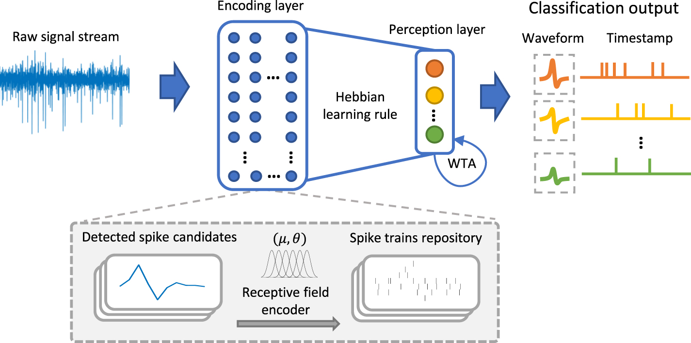 NeuSort: an automatic adaptive spike sorting approach with neuromorphic models - IOPscience