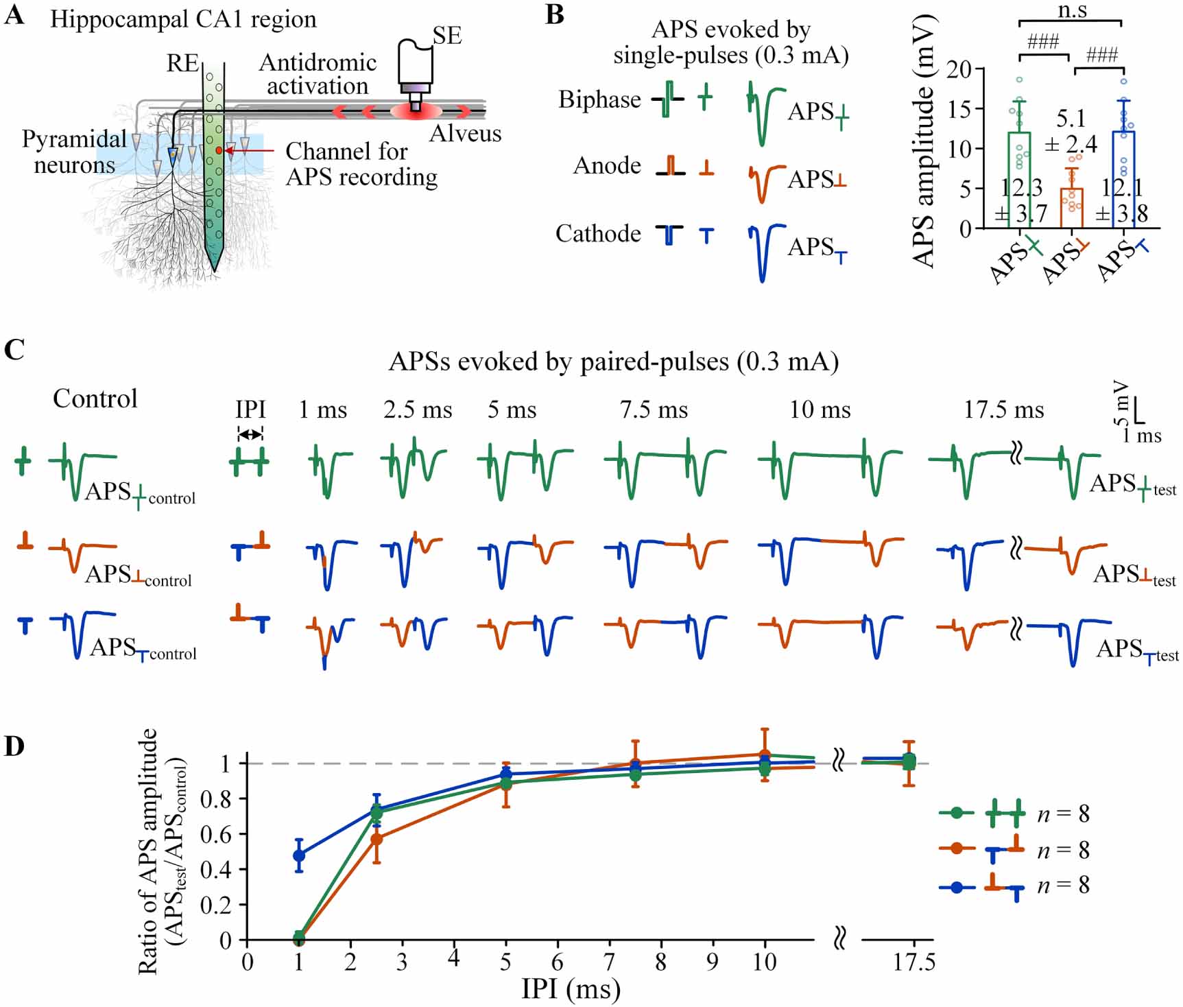 Interactions between cathodic- and anodic-pulses during high-frequency ...