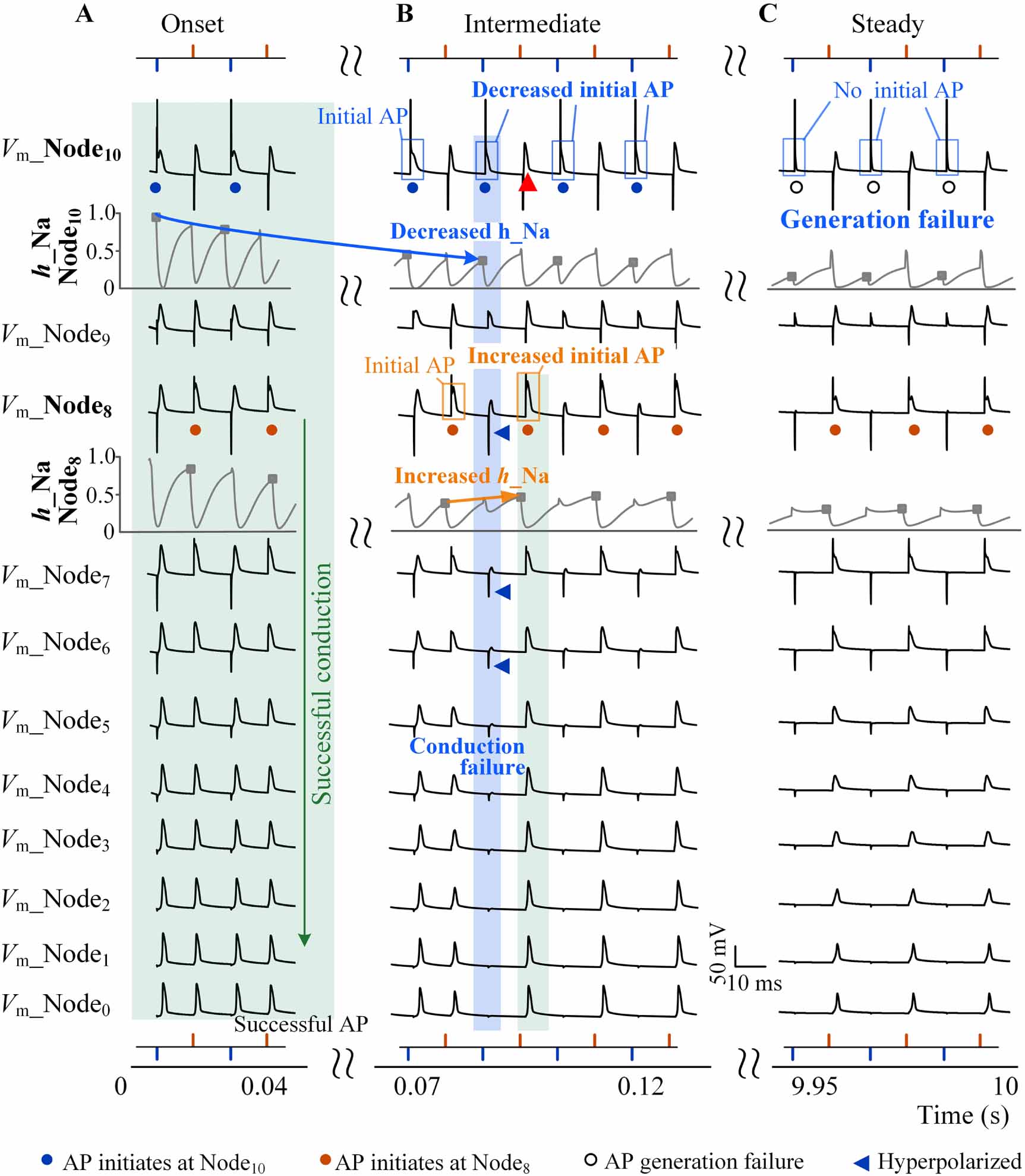Interactions between cathodic- and anodic-pulses during high-frequency ...