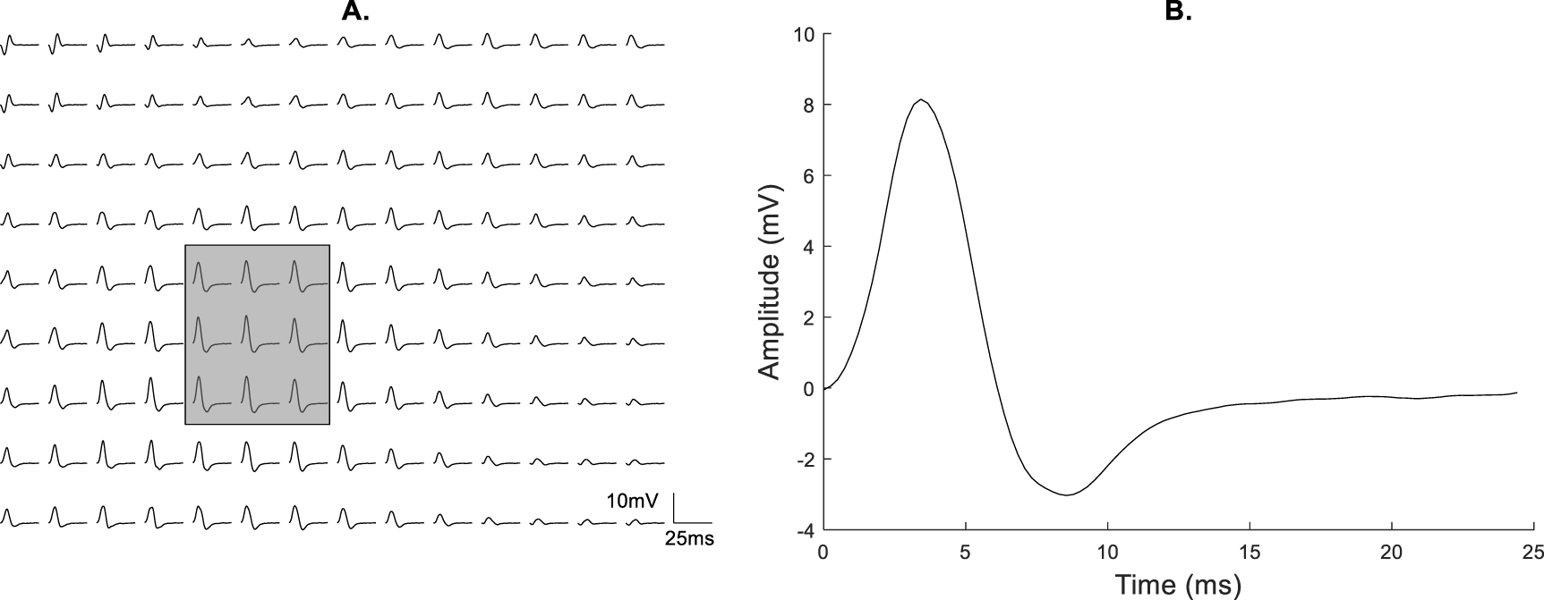 Simulating progressive motor neuron degeneration and collateral ...