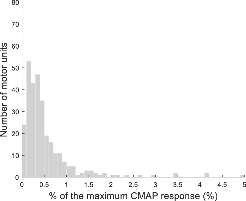 Simulating progressive motor neuron degeneration and collateral ...