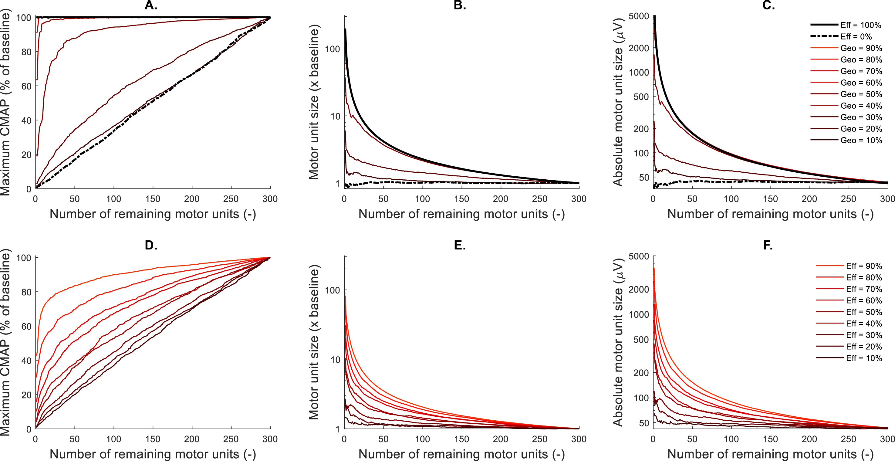 Simulating progressive motor neuron degeneration and collateral ...