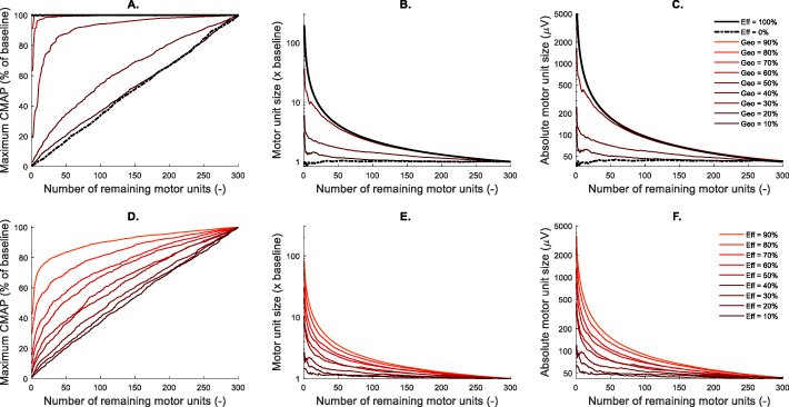 Simulating progressive motor neuron degeneration and collateral ...