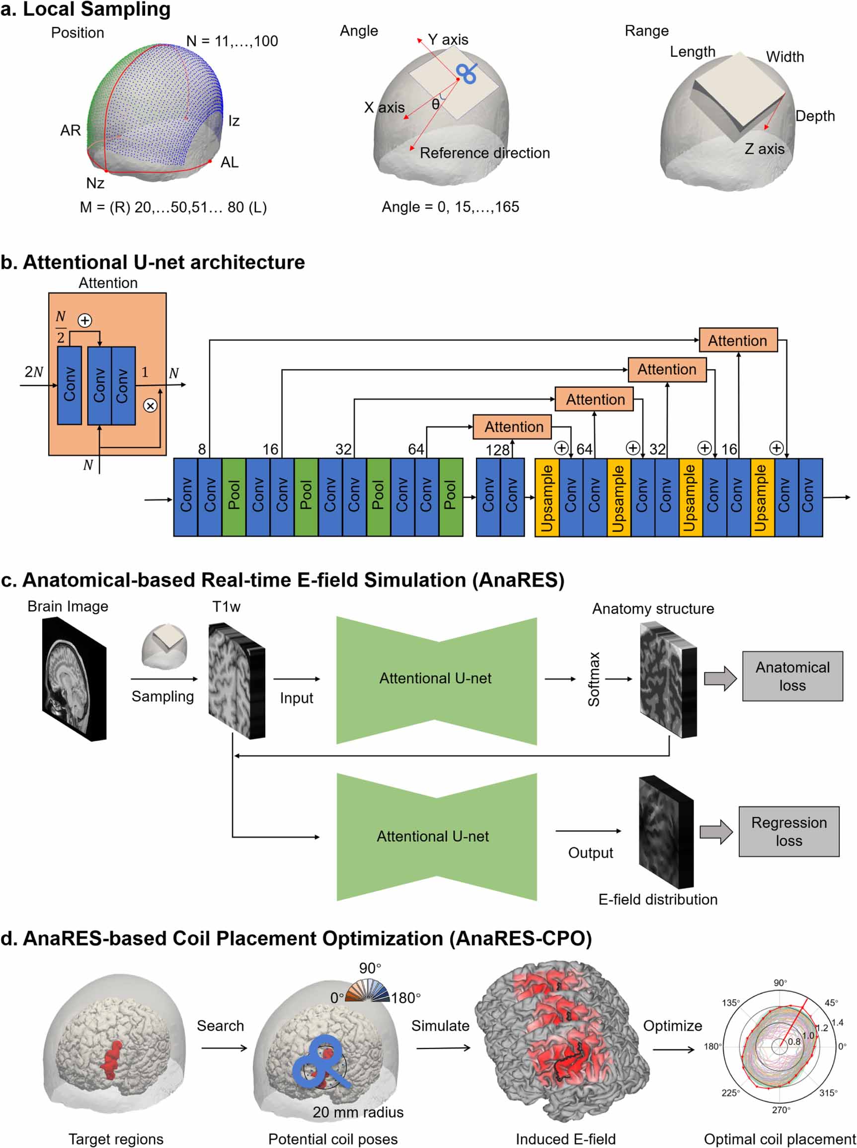 In-vivo verified anatomically aware deep learning for real-time ...