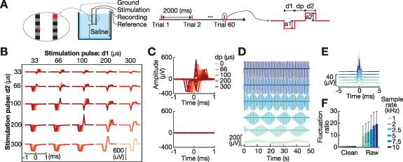 Single-pulse electrical stimulation artifact removal using the novel matching pursuit-based ...