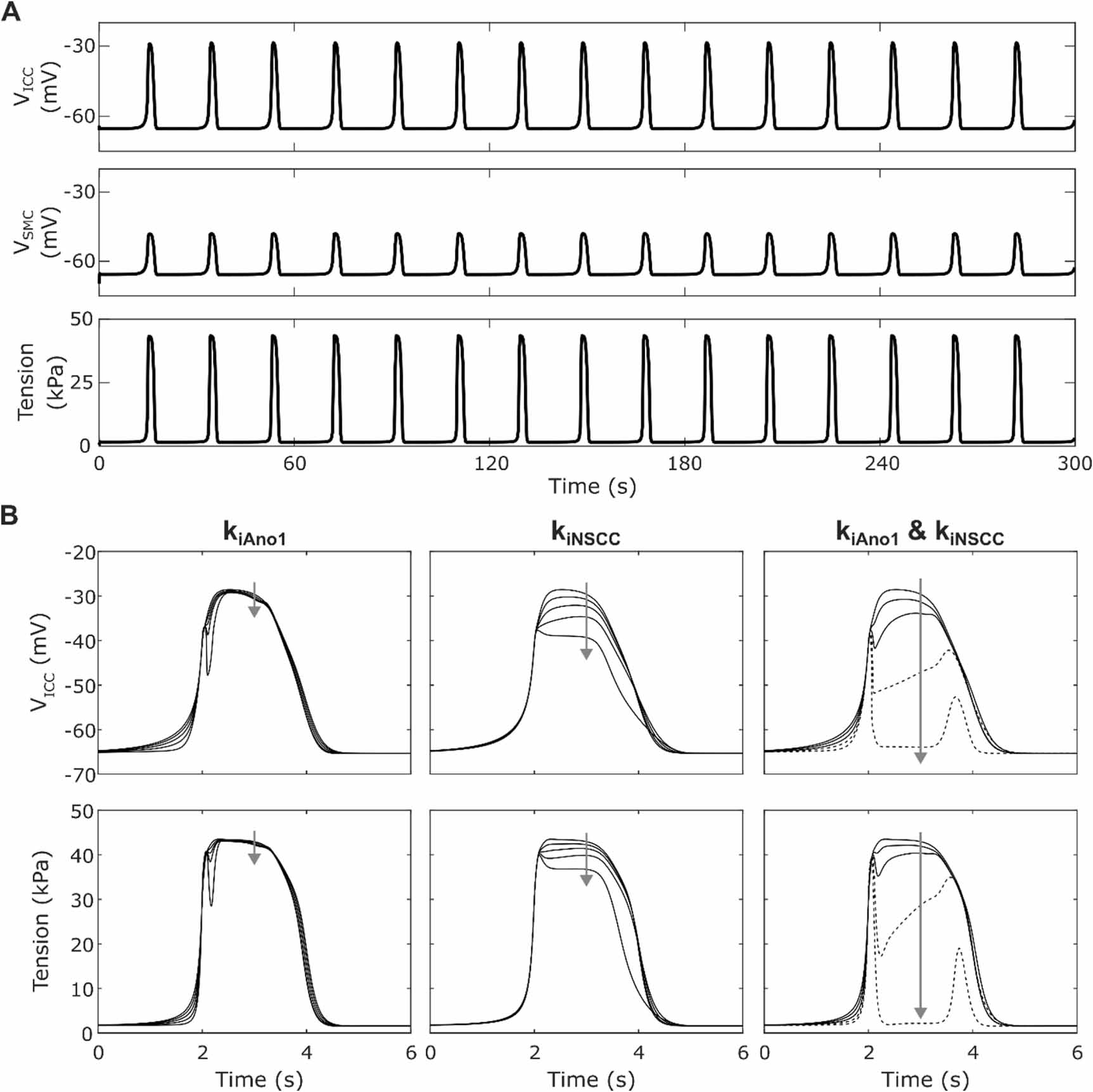 Neural regulation of slow waves and phasic contractions in the distal ...