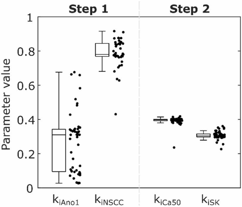 Neural regulation of slow waves and phasic contractions in the distal ...