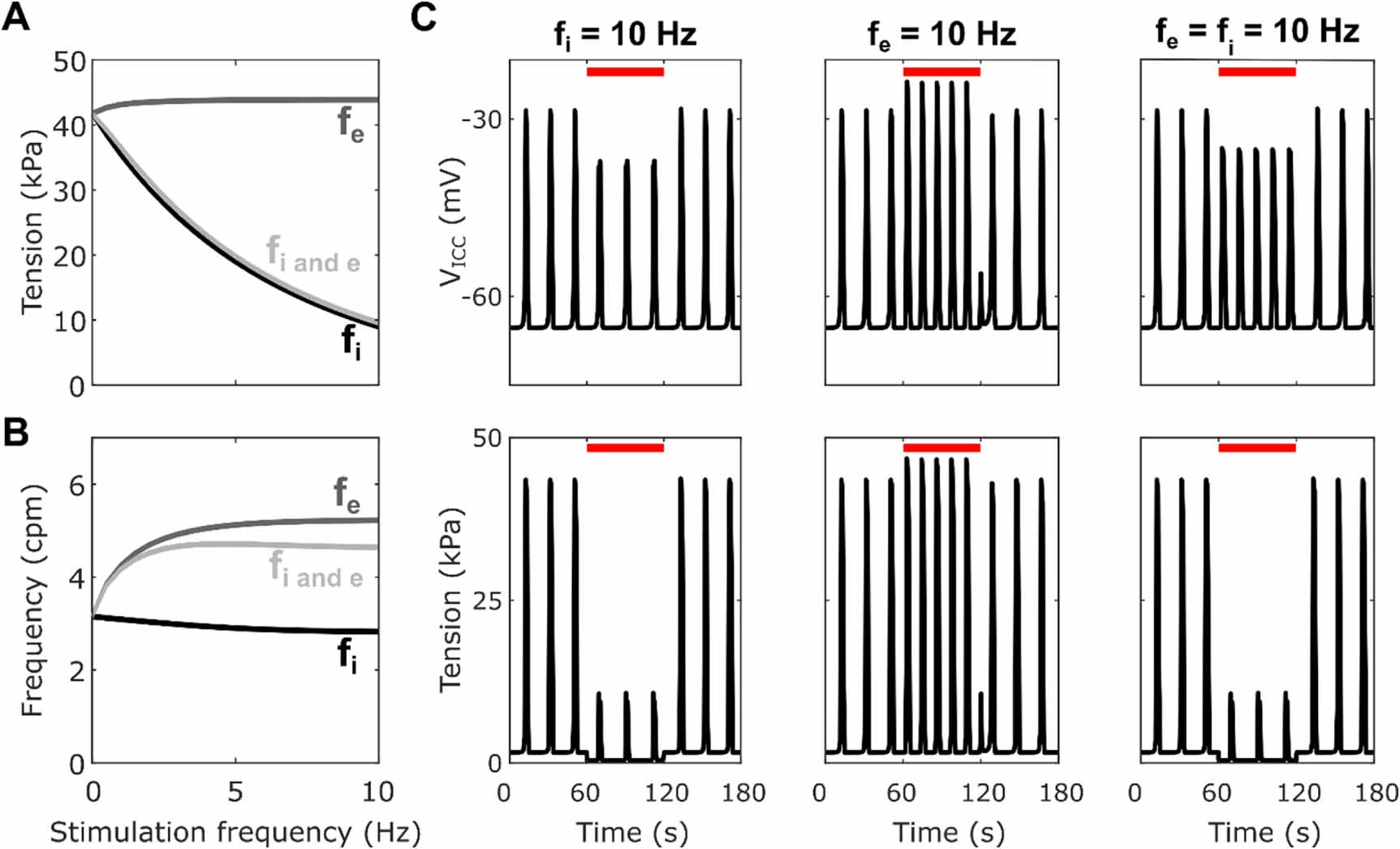 Neural regulation of slow waves and phasic contractions in the distal ...