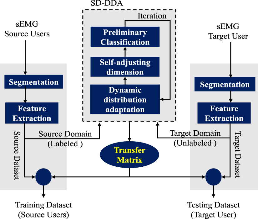A novel unsupervised dynamic feature domain adaptation strategy for cross-individual myoelectric ...