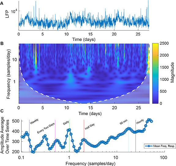 Neural signal data collection and analysis of Percept™ PC BrainSense ...