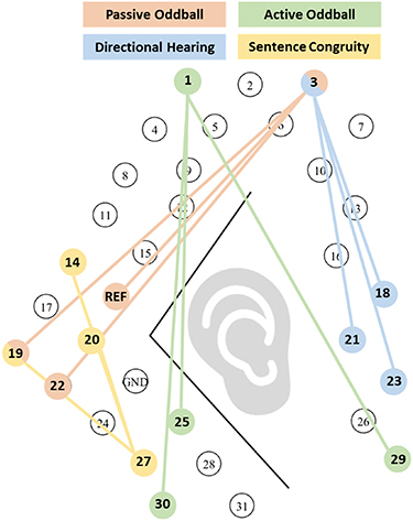 High-density ear-EEG for understanding ear-centered EEG - IOPscience