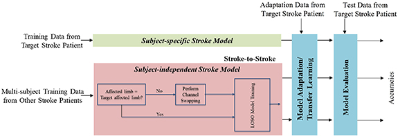 Transferring a deep learning model from healthy subjects to stroke ...