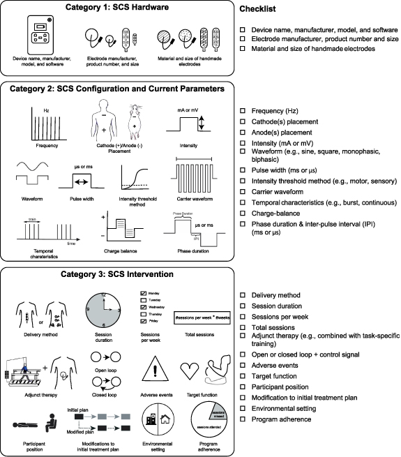 REPORT-SCS: minimum reporting standards for spinal cord stimulation ...