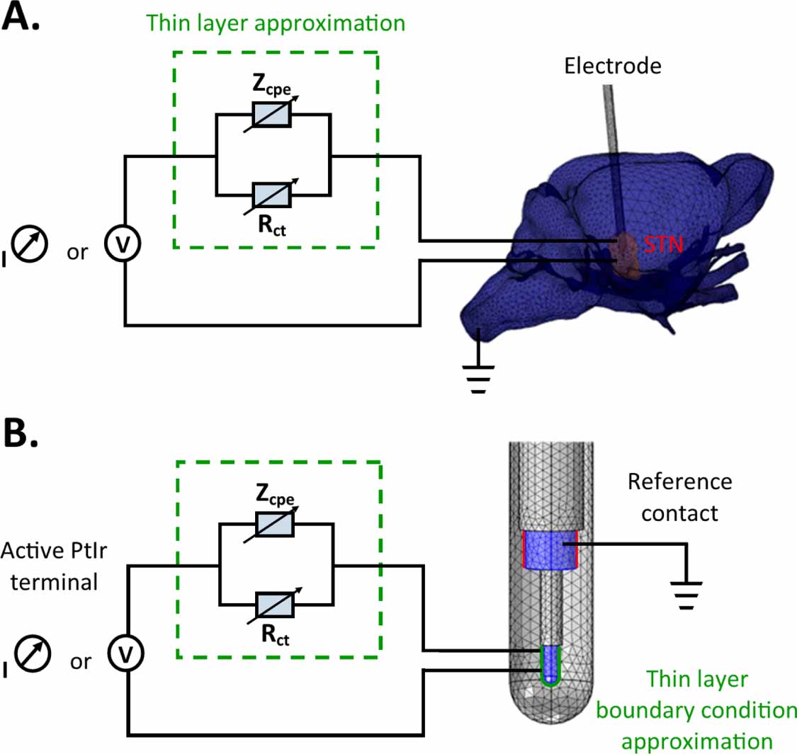 Nonlinear effects at the electrode-tissue interface of deep brain ...