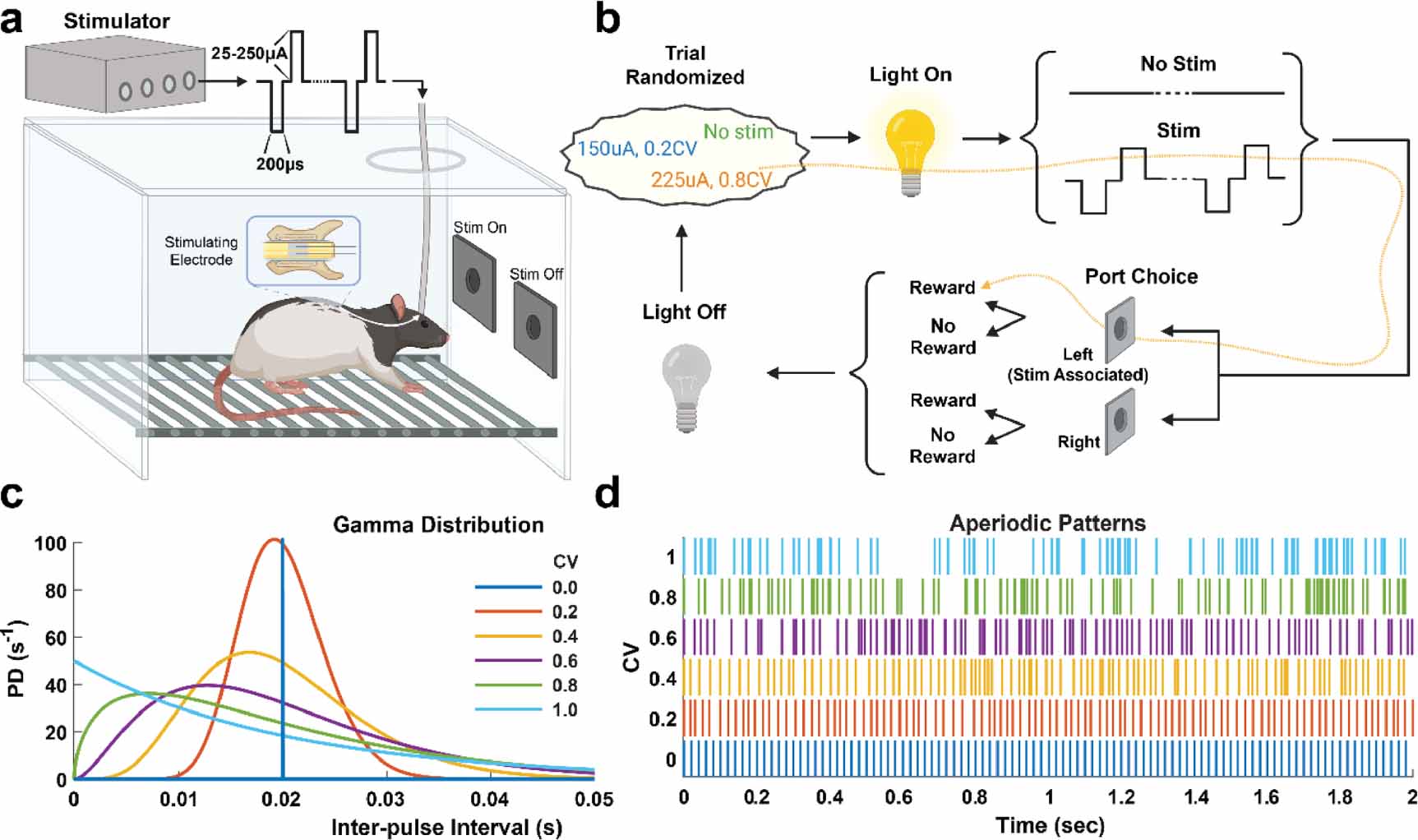The role of stimulus periodicity on spinal cord stimulation-induced ...