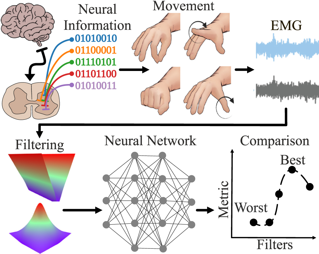 Influence of spatio-temporal filtering on hand kinematics estimation from high-density EMG ...