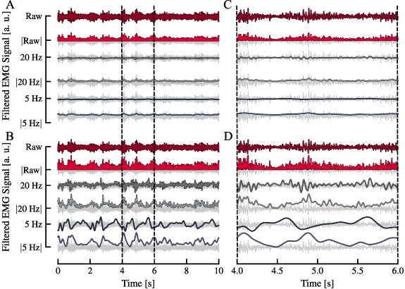Influence of spatio-temporal filtering on hand kinematics estimation ...