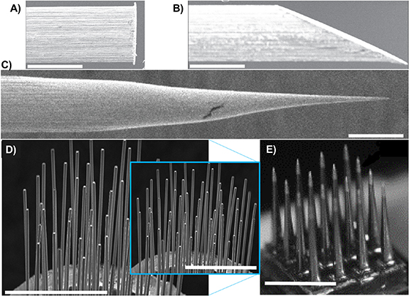 Electrode sharpness and insertion speed reduce tissue damage near high ...