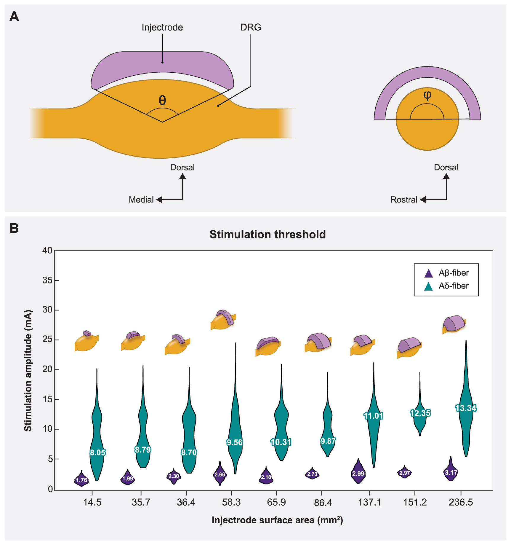 Computational modeling of dorsal root ganglion stimulation using an ...