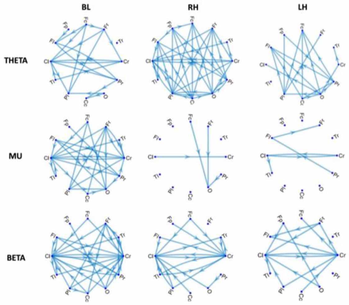 EEG connectivity in functional brain networks supporting visuomotor ...