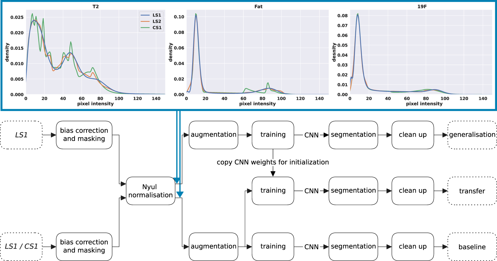 A novel CNN-based image segmentation pipeline for individualized feline ...