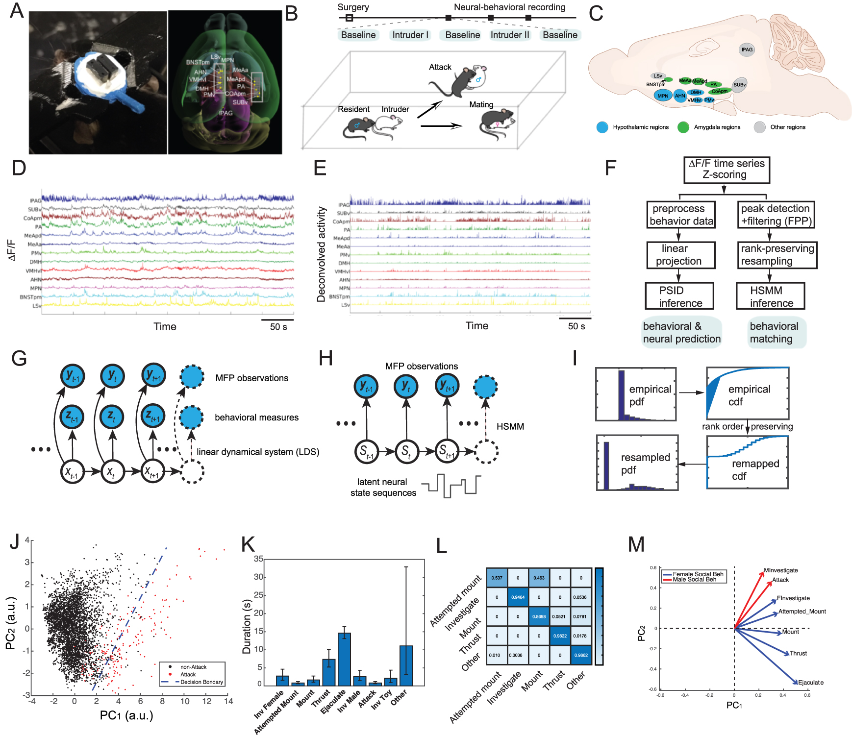 Identifying behavioral links to neural dynamics of multifiber photometry recordings in a mouse ...