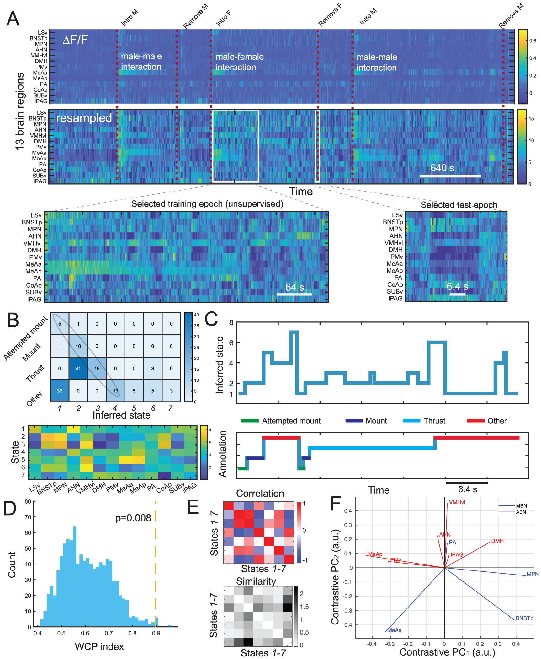 Identifying behavioral links to neural dynamics of multifiber ...