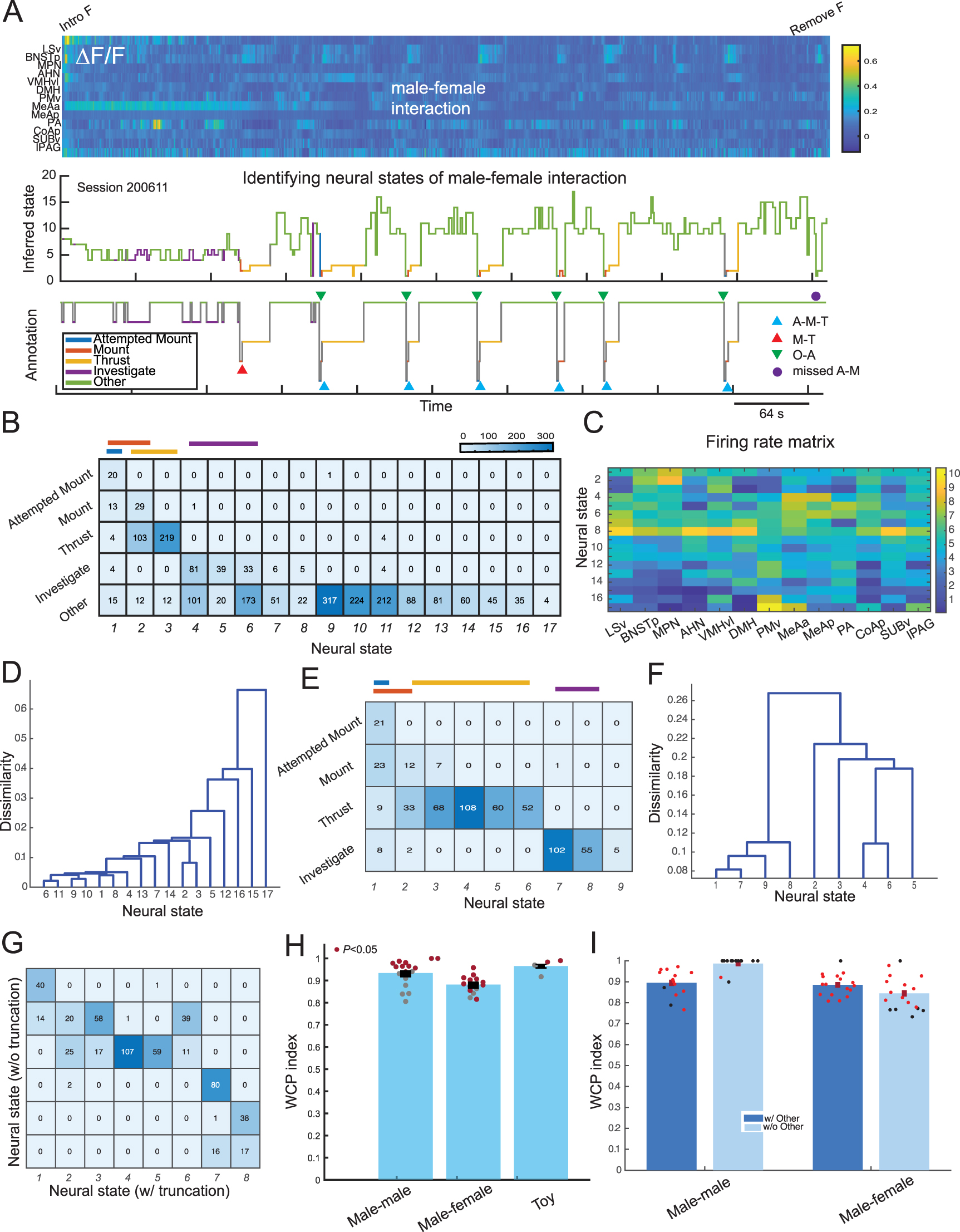 Identifying behavioral links to neural dynamics of multifiber ...