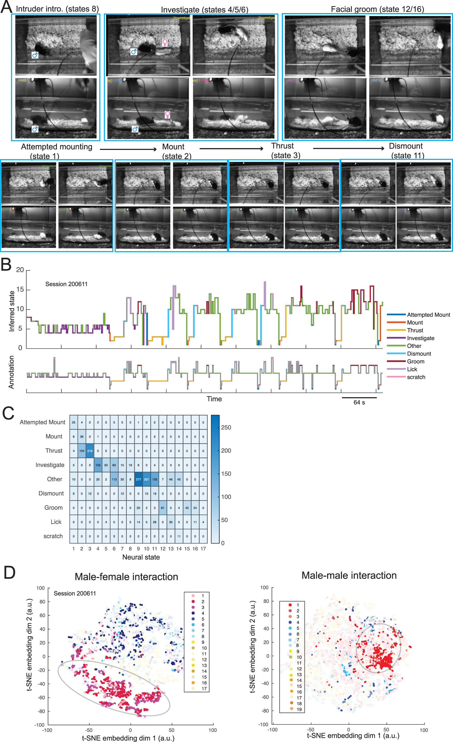 Identifying behavioral links to neural dynamics of multifiber ...