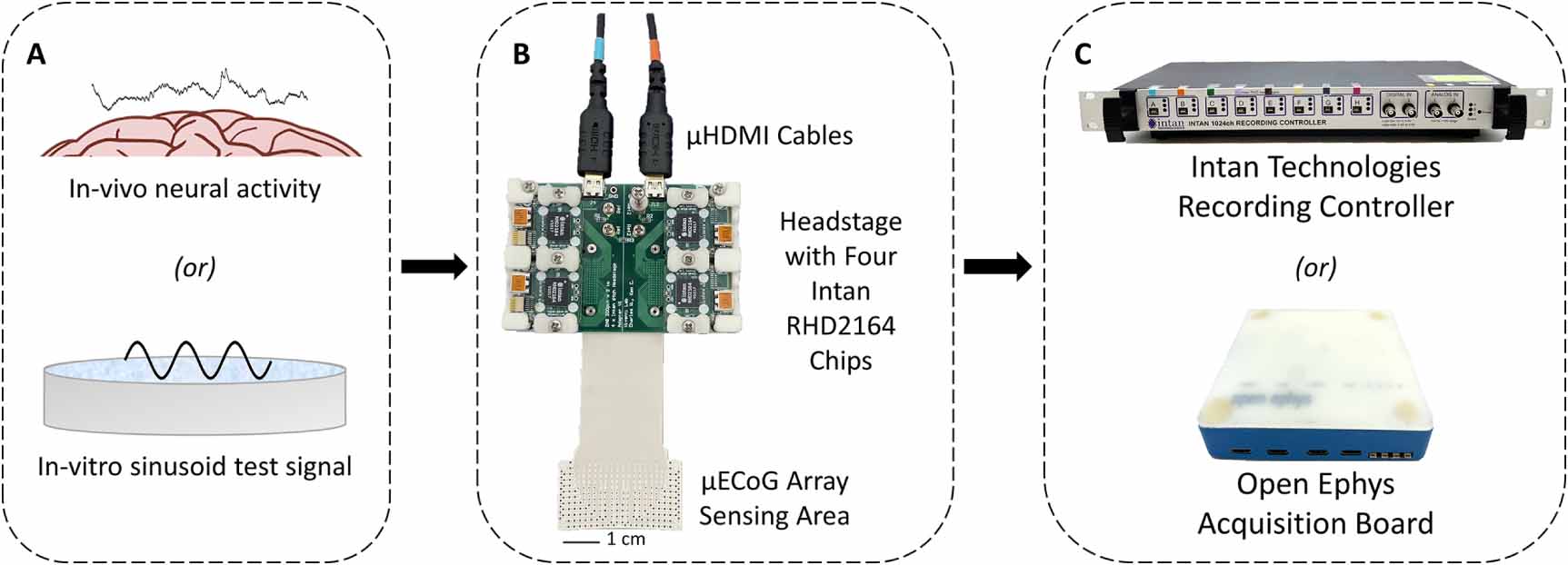 Intan Technologies integrated circuits can produce analog-to-digital ...