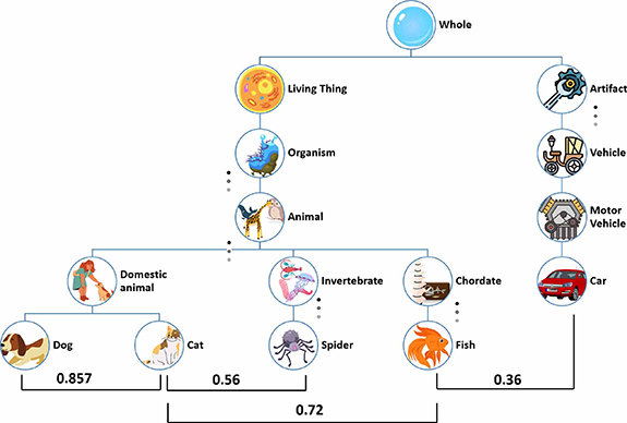Retrieving and reconstructing conceptually similar images from fMRI ...